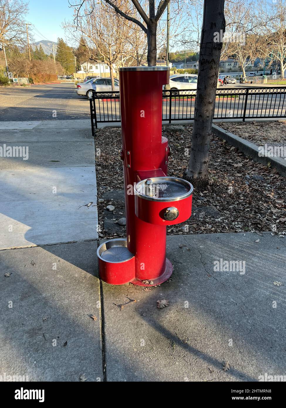 A dog water fountain is integrated into a vertical water fountain at ...