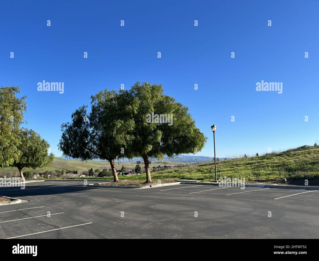 Trees and views of the Tri-Valley hills at Rancho San Ramon, a ...