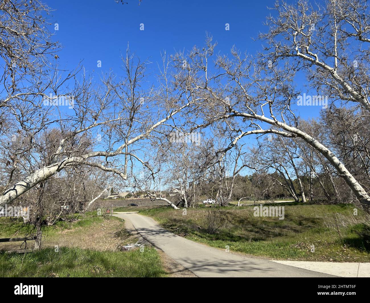 Paved hiking path at Sycamore Grove Park, a park in Livermore ...