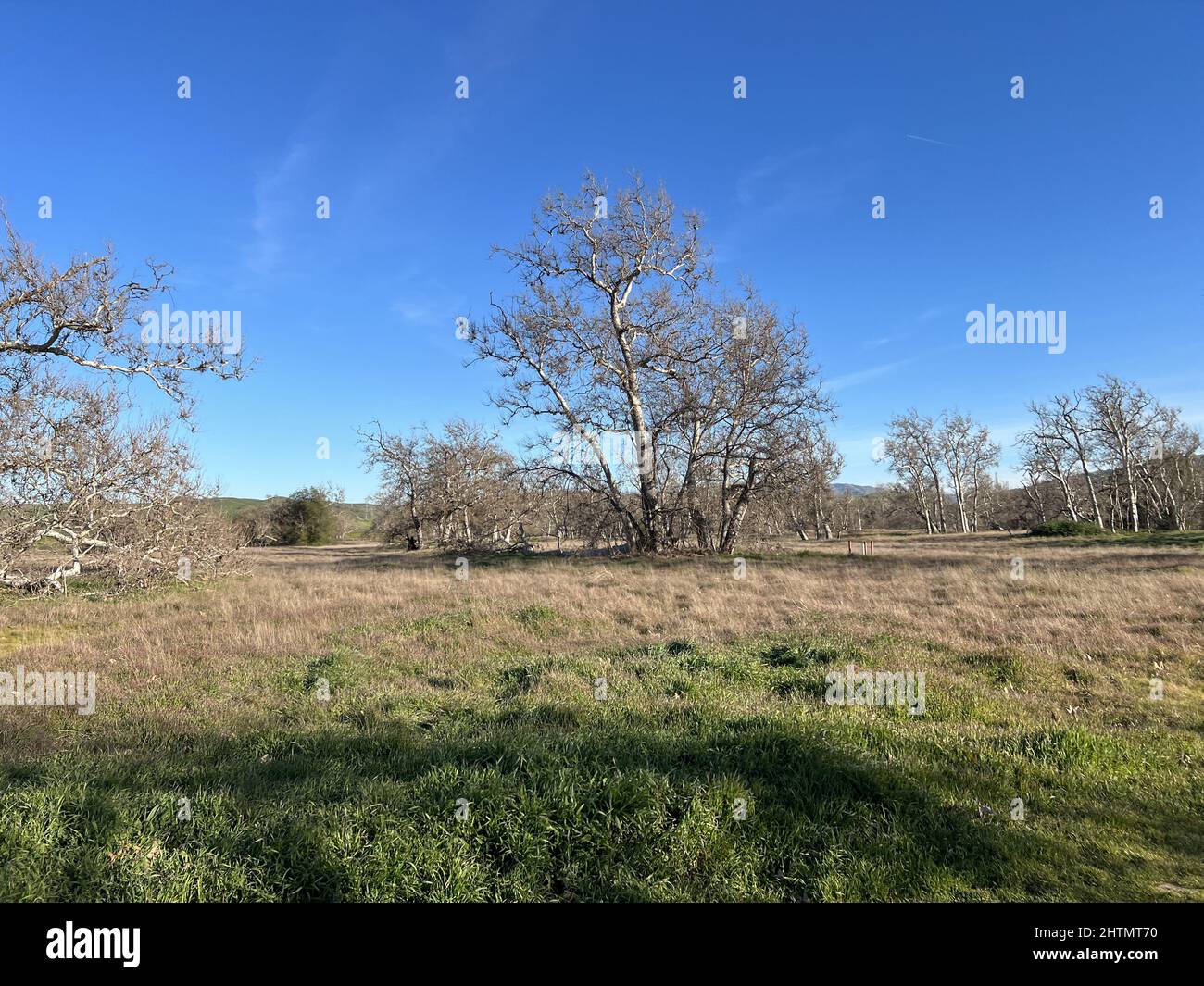 Trees and fields are visible on a sunny day at Sycamore Grove Park in ...