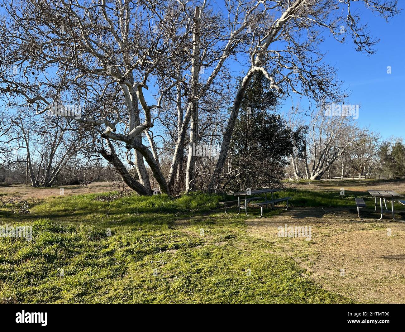 Trees and fields are visible on a sunny day at Sycamore Grove Park in ...