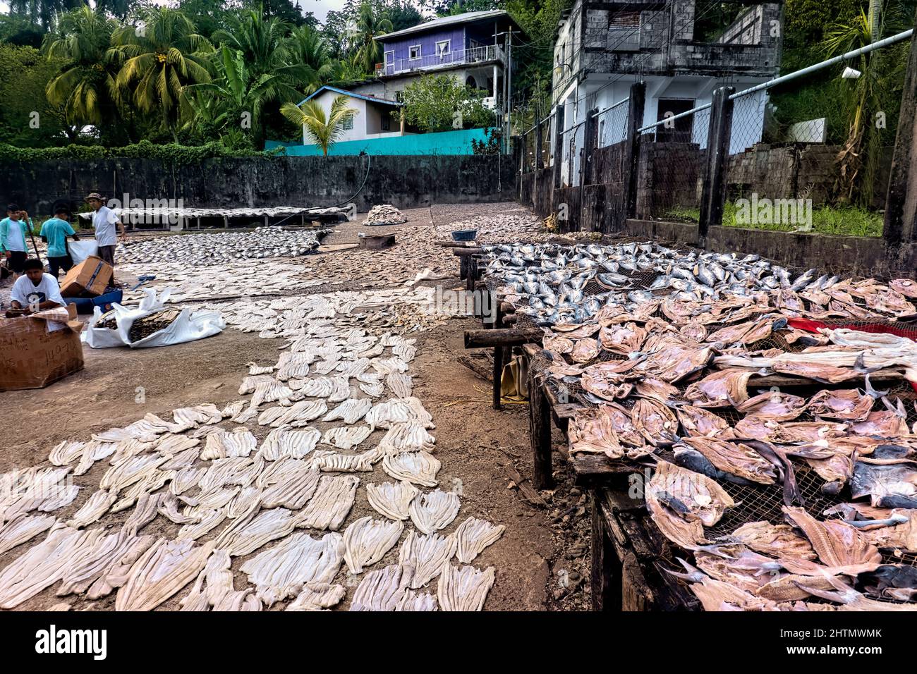 Garifuna guatemala hi-res stock photography and images - Alamy