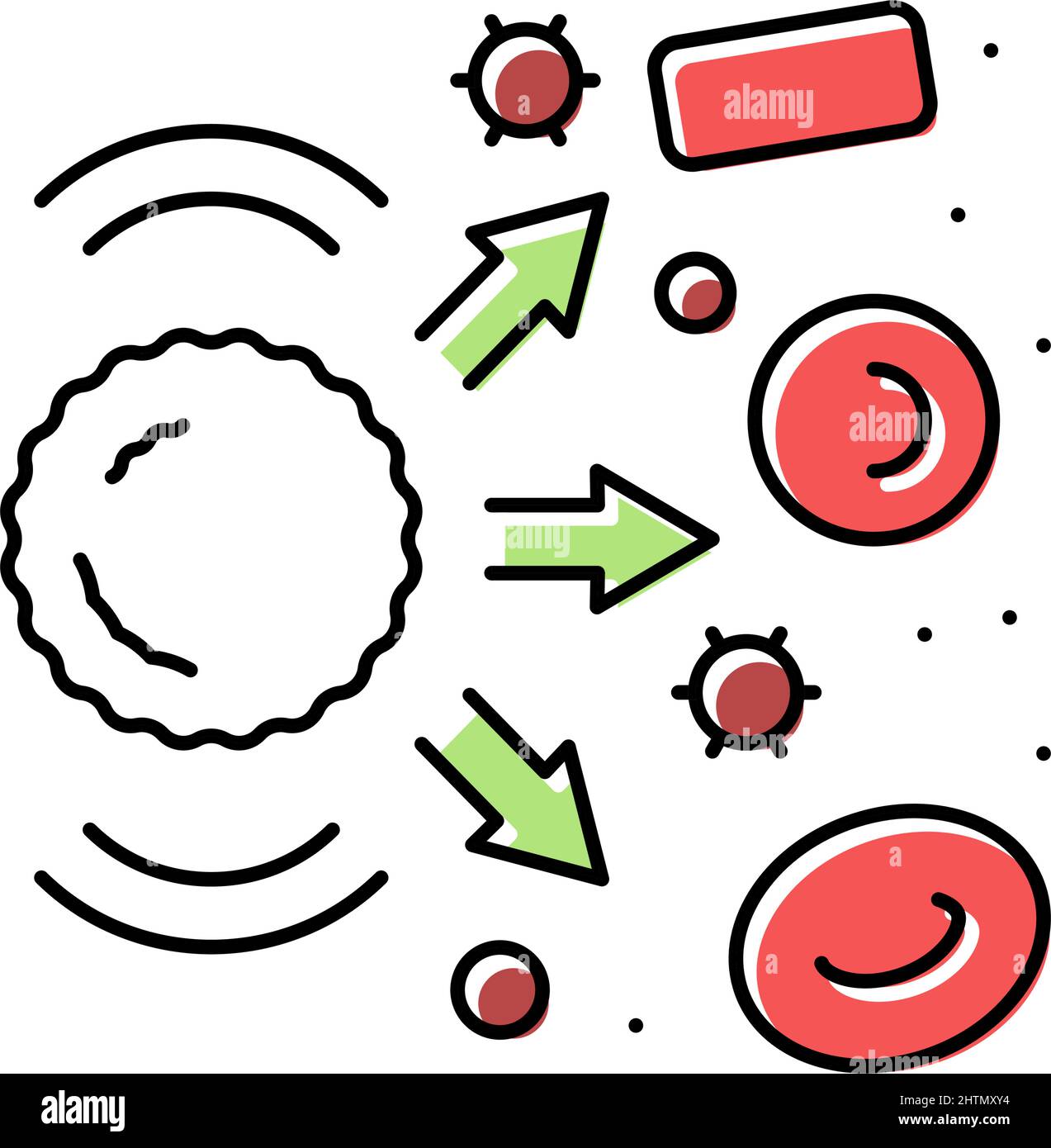 hypersensitivity blood color icon vector illustration Stock Vector ...