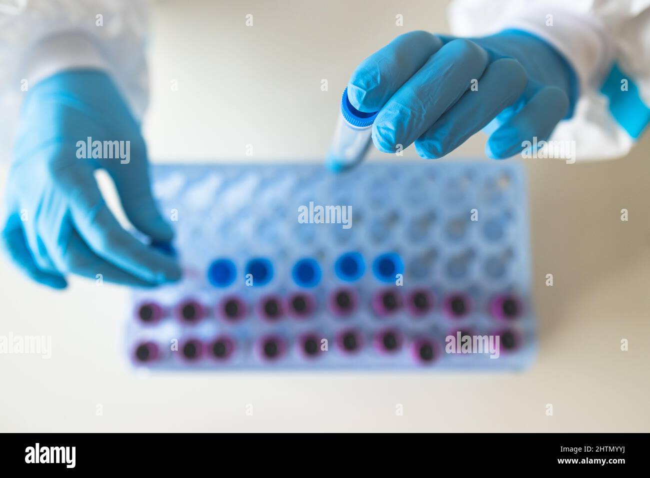 Process of coronavirus PCR antigen testing examination by nurse medic ...