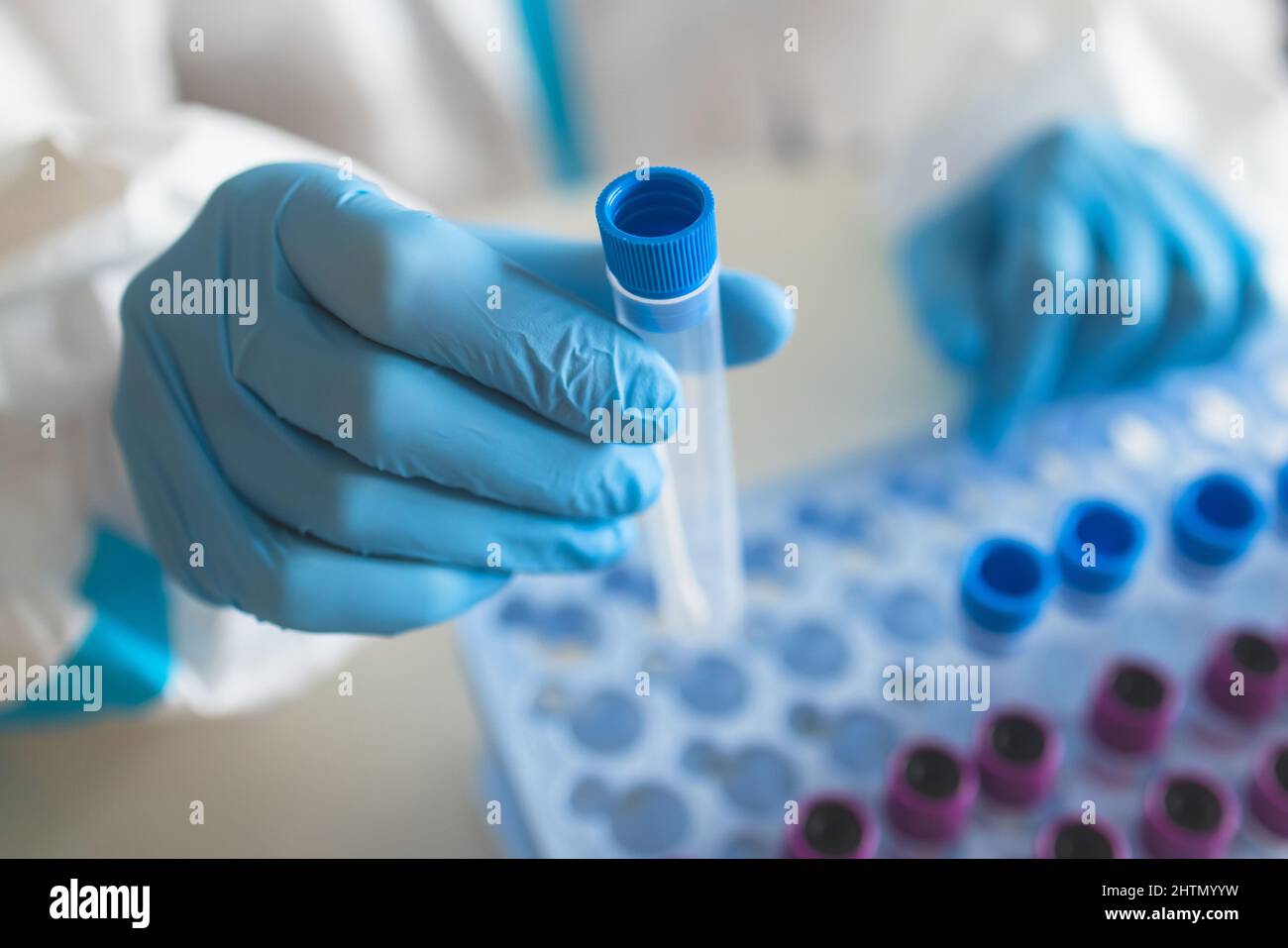 Process of coronavirus PCR antigen testing examination by nurse medic ...