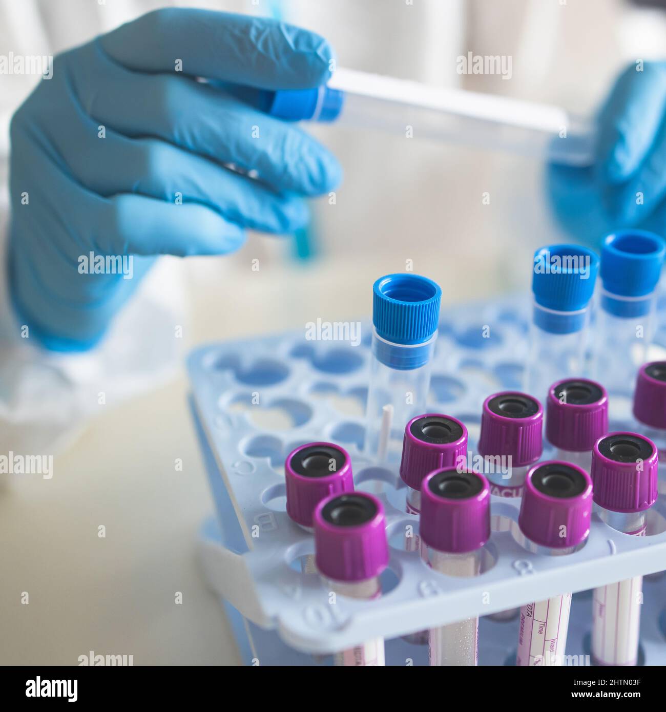 Process of coronavirus PCR antigen testing examination by nurse medic ...