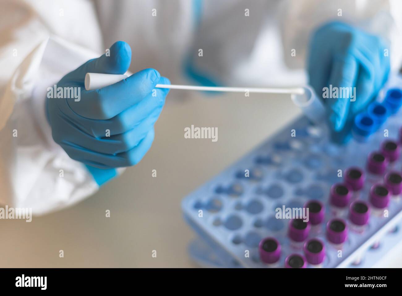 Process of coronavirus PCR antigen testing examination by nurse medic ...