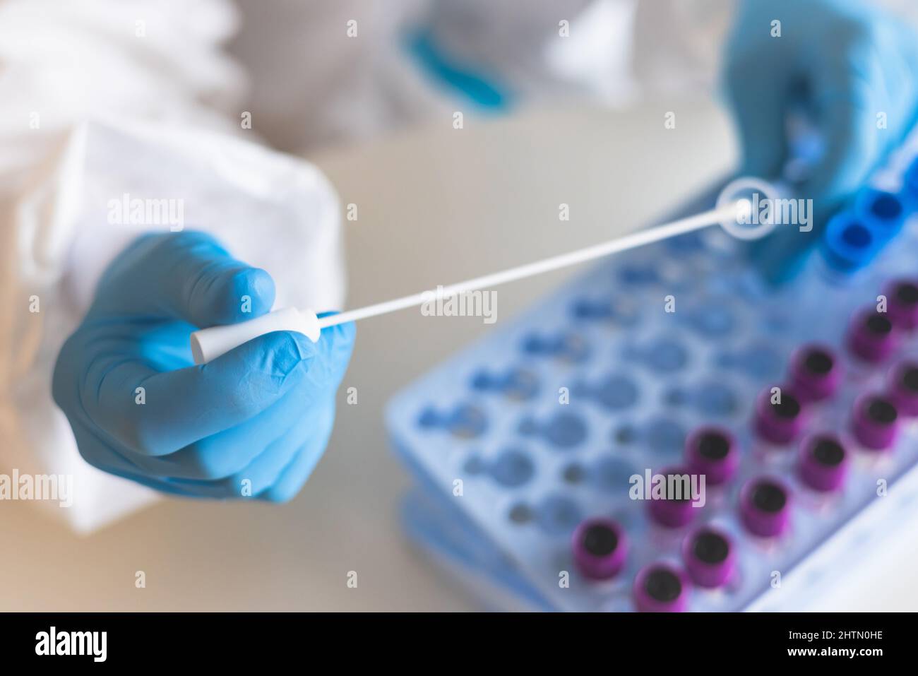 Process of coronavirus PCR antigen testing examination by nurse medic ...