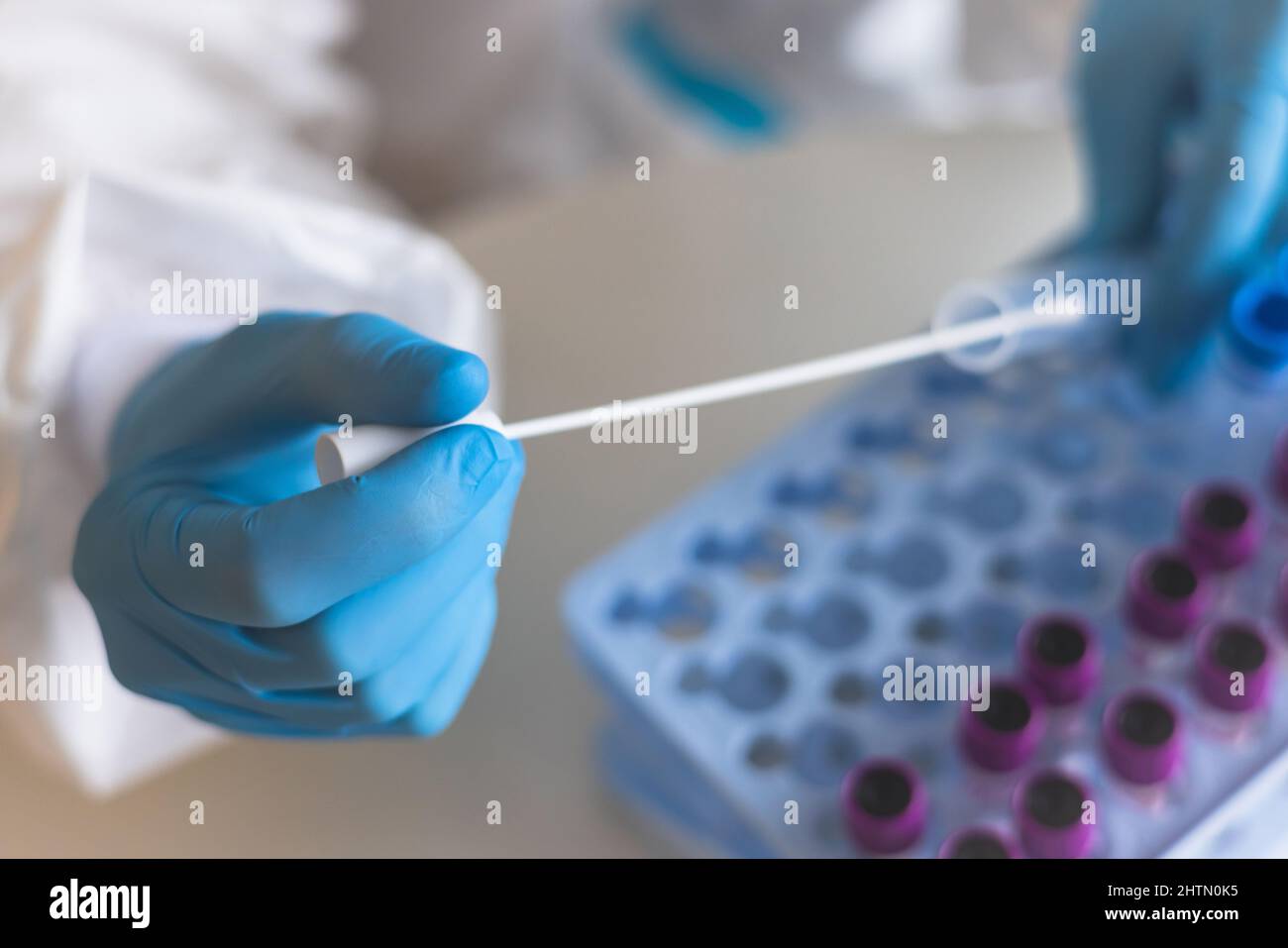 Process of coronavirus PCR antigen testing examination by nurse medic ...