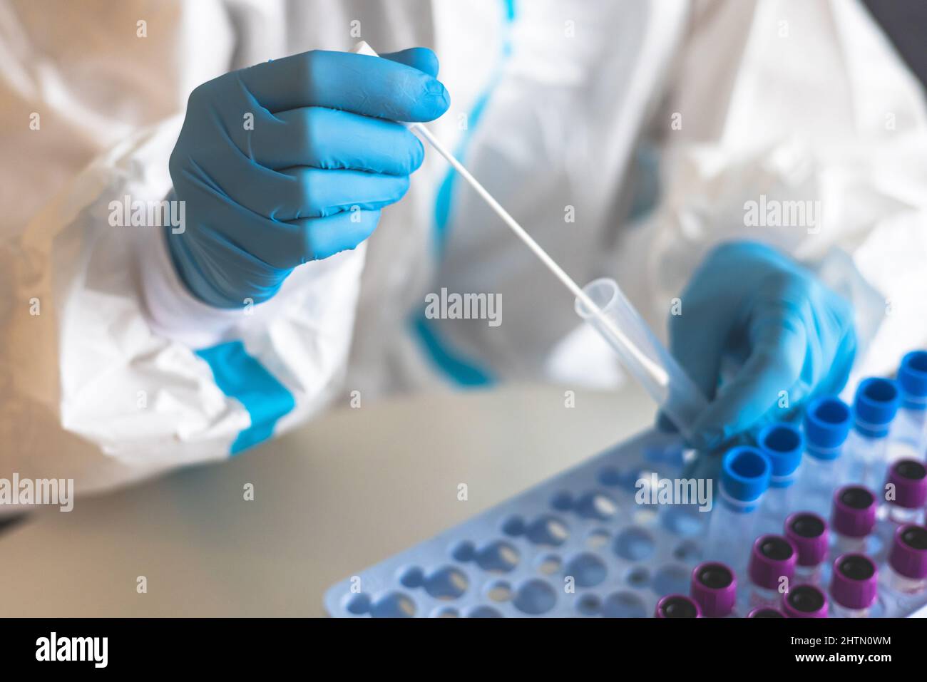 Process of coronavirus PCR antigen testing examination by nurse medic ...