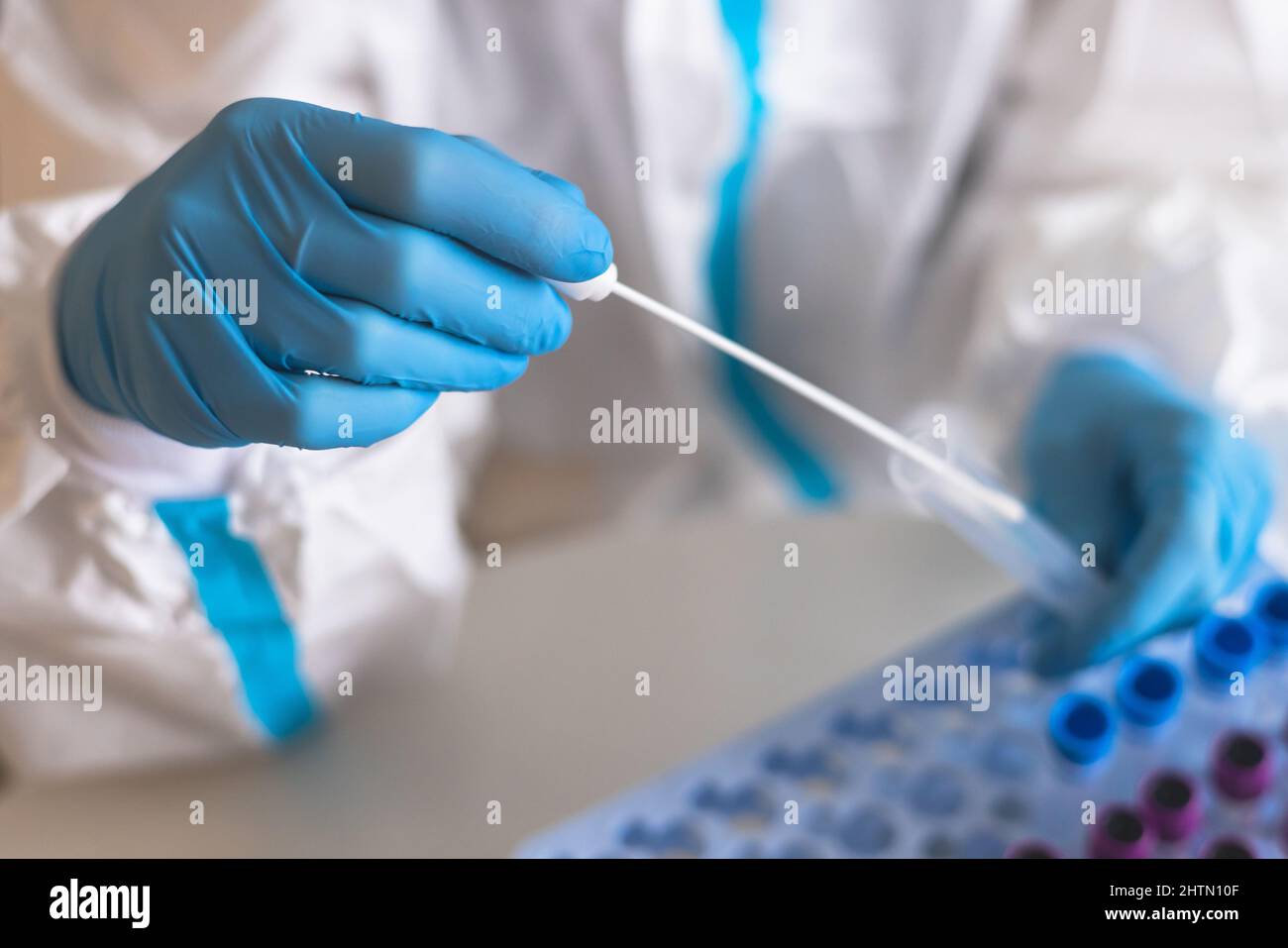 Process of coronavirus PCR antigen testing examination by nurse medic ...