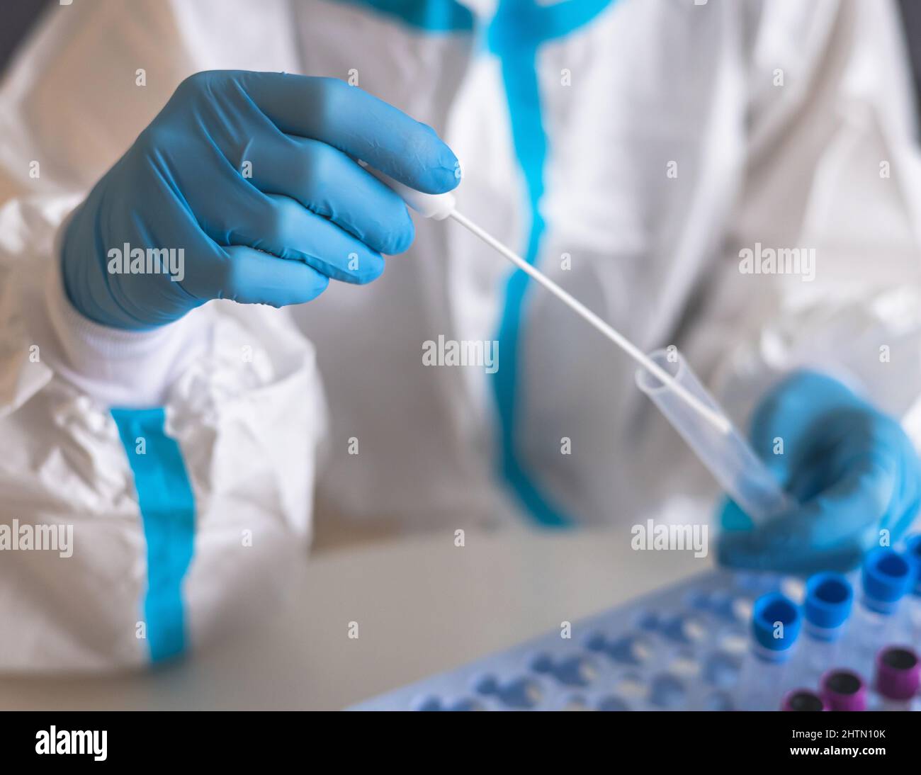 Process of coronavirus PCR antigen testing examination by nurse medic ...