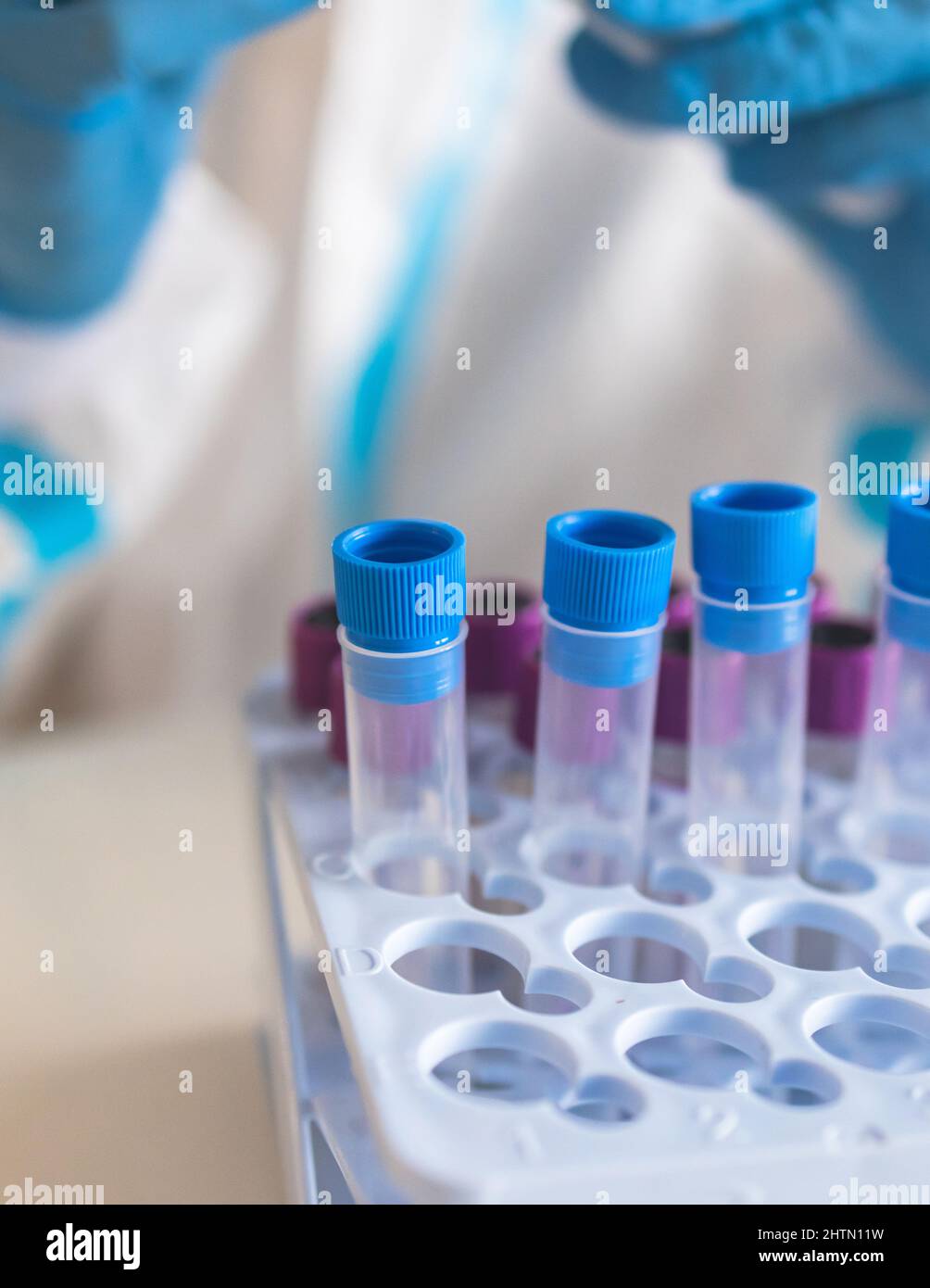 Process of coronavirus PCR antigen testing examination by nurse medic ...