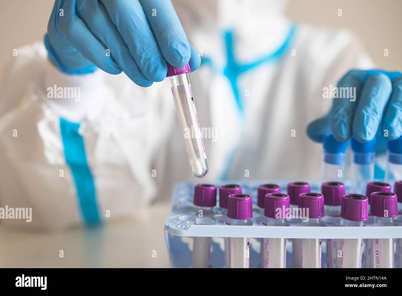 Process of coronavirus PCR antigen testing examination by nurse medic ...