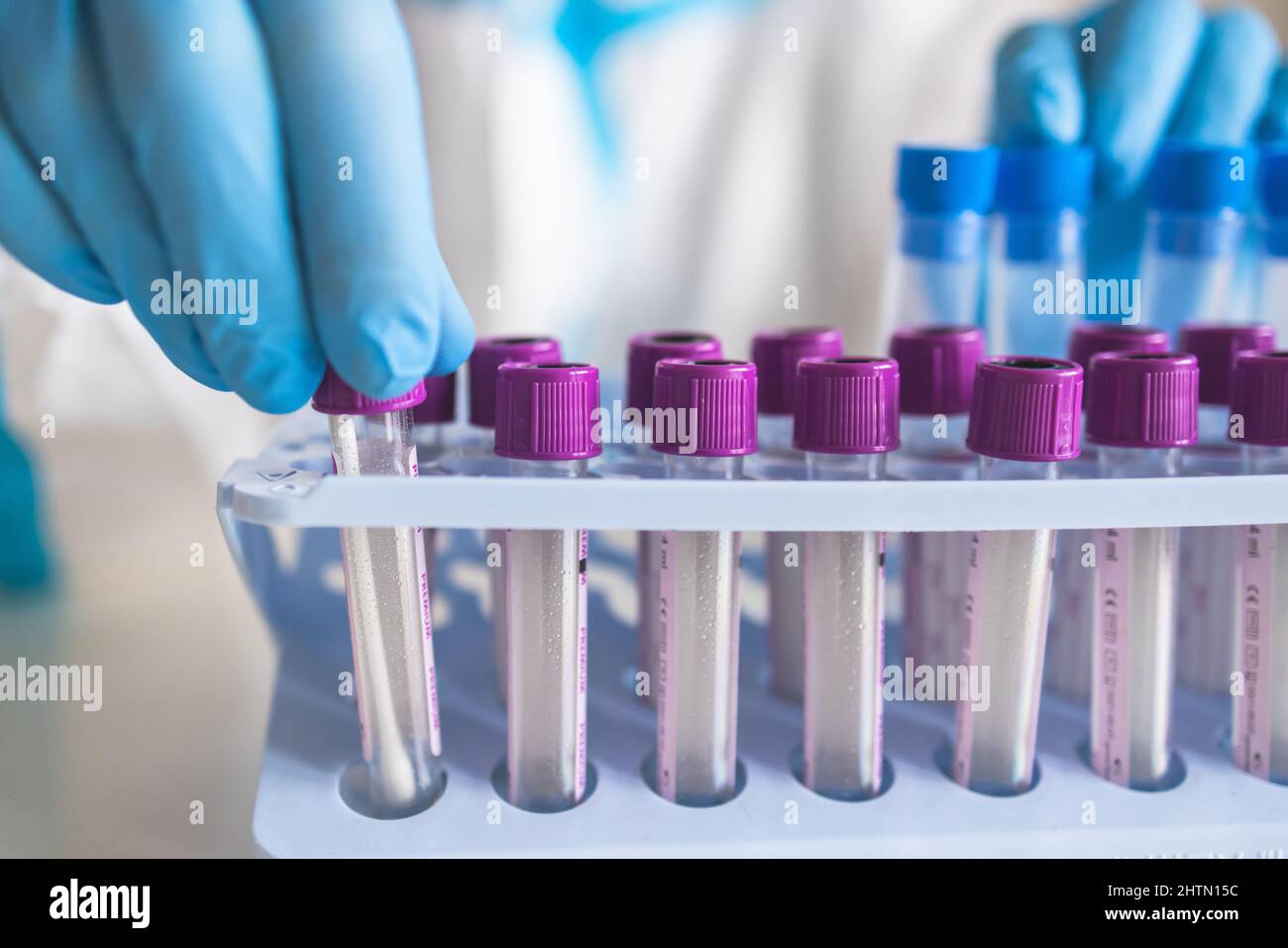 Process of coronavirus PCR antigen testing examination by nurse medic ...