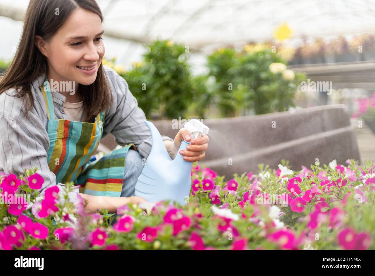 Adorable female florist spraying fresh water to petal leaves of flowers ...