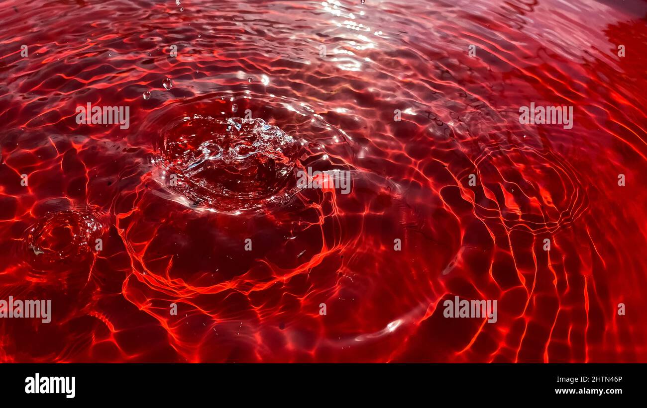 Close-up rain drips on a red background and leaves circles on the water ...