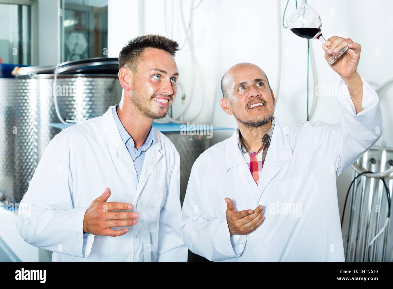 Factory workers examining sample of wine Stock Photo - Alamy