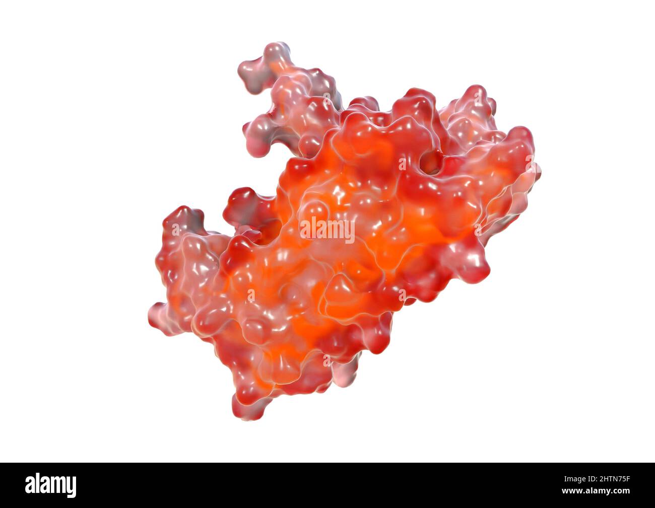 Interferon alpha 2a molecule, illustration Stock Photo - Alamy