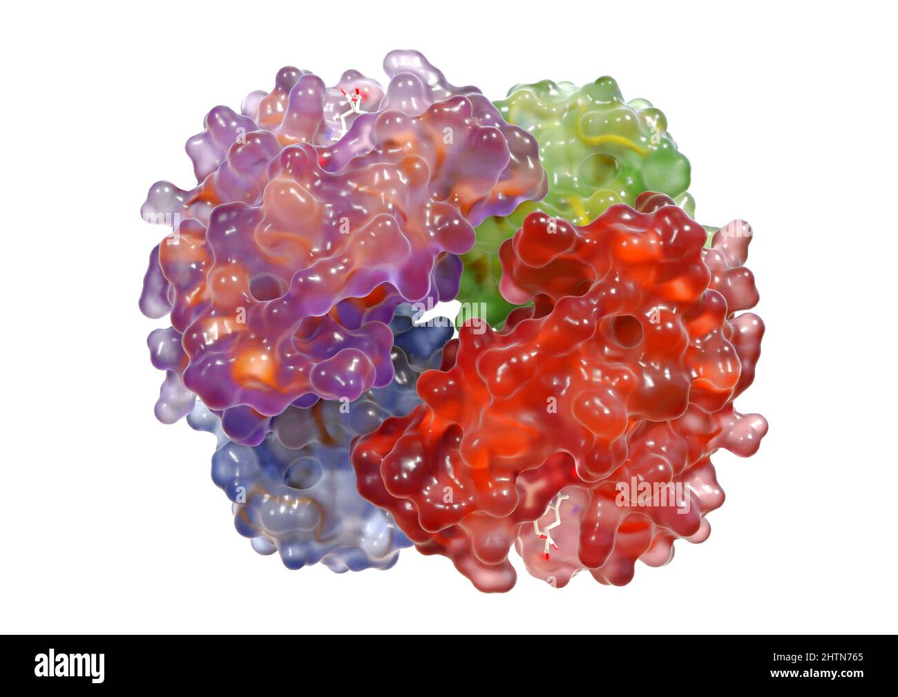 Haemoglobin molecule, illustration Stock Photo - Alamy