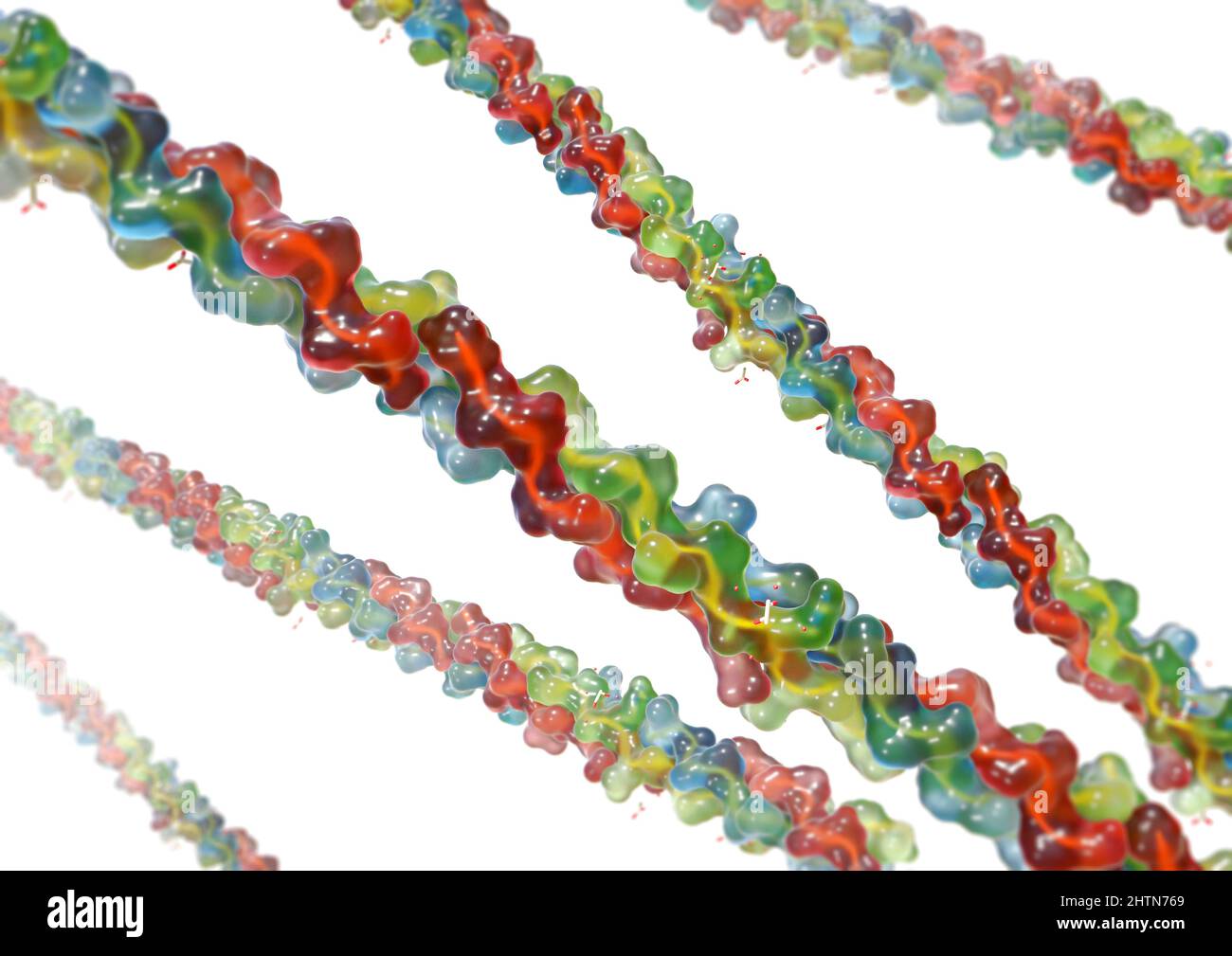 Collagen triple helix molecules, illustration Stock Photo - Alamy