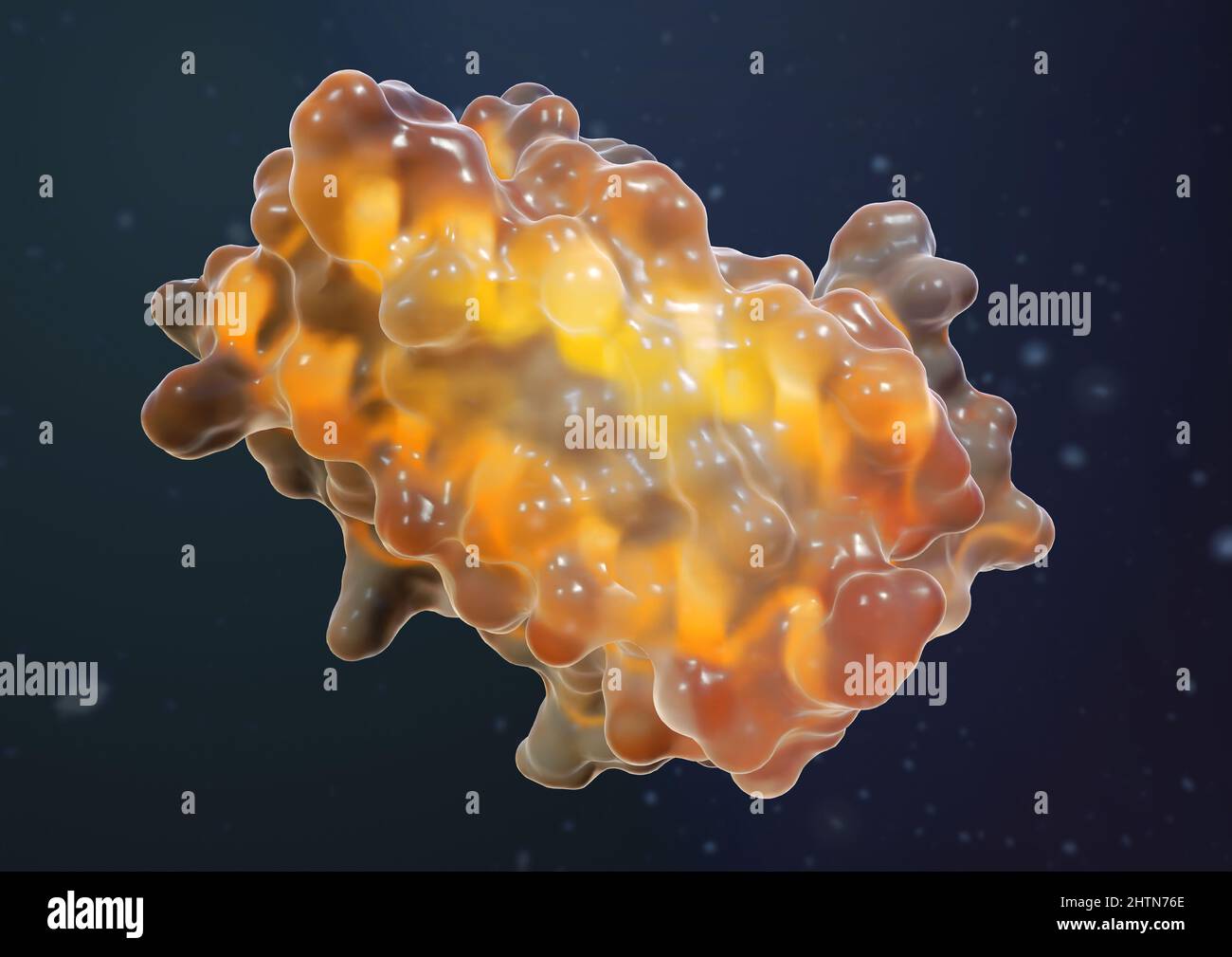 Leptin molecule, illustration Stock Photo - Alamy