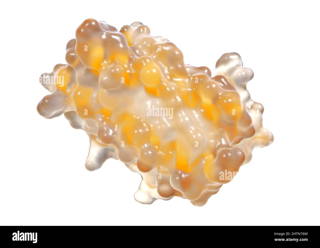 Leptin molecule, illustration Stock Photo - Alamy