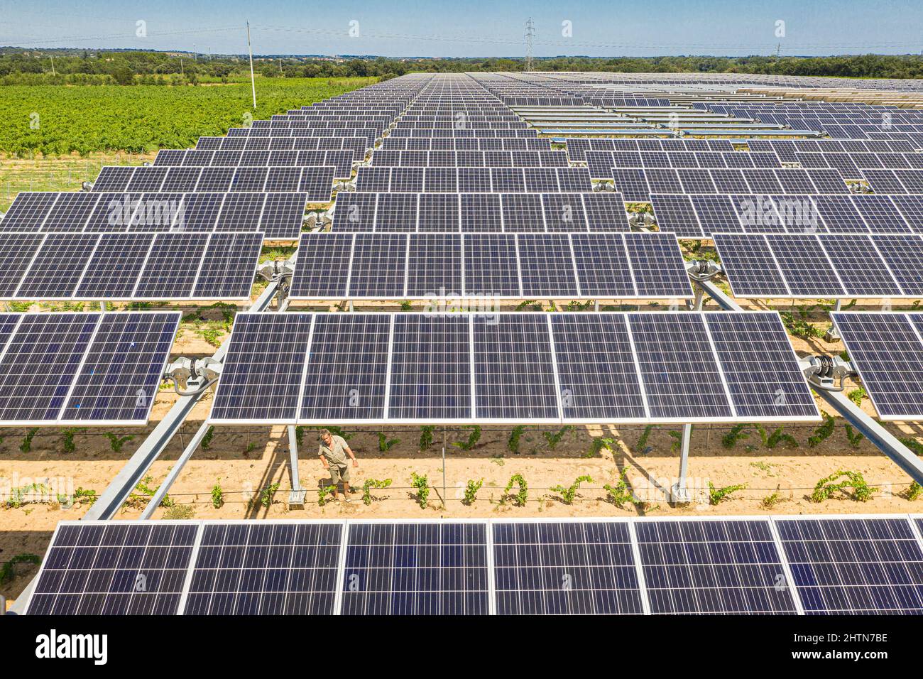 Photovoltaic awning being used to grow crops Stock Photo - Alamy