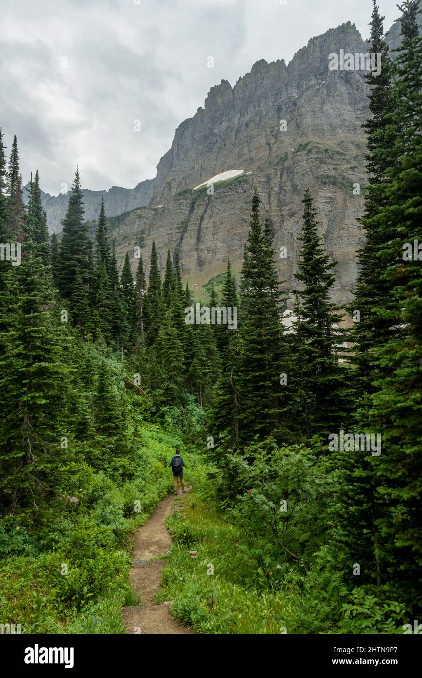 Eagle falls trail hi-res stock photography and images - Alamy