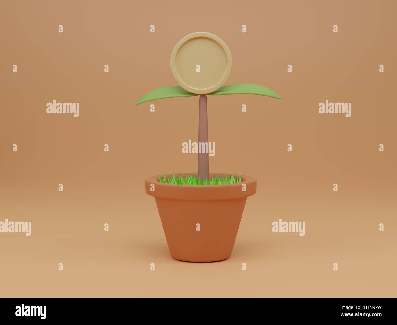 Seedling plant with coin flower in pot on light orange background. Long ...