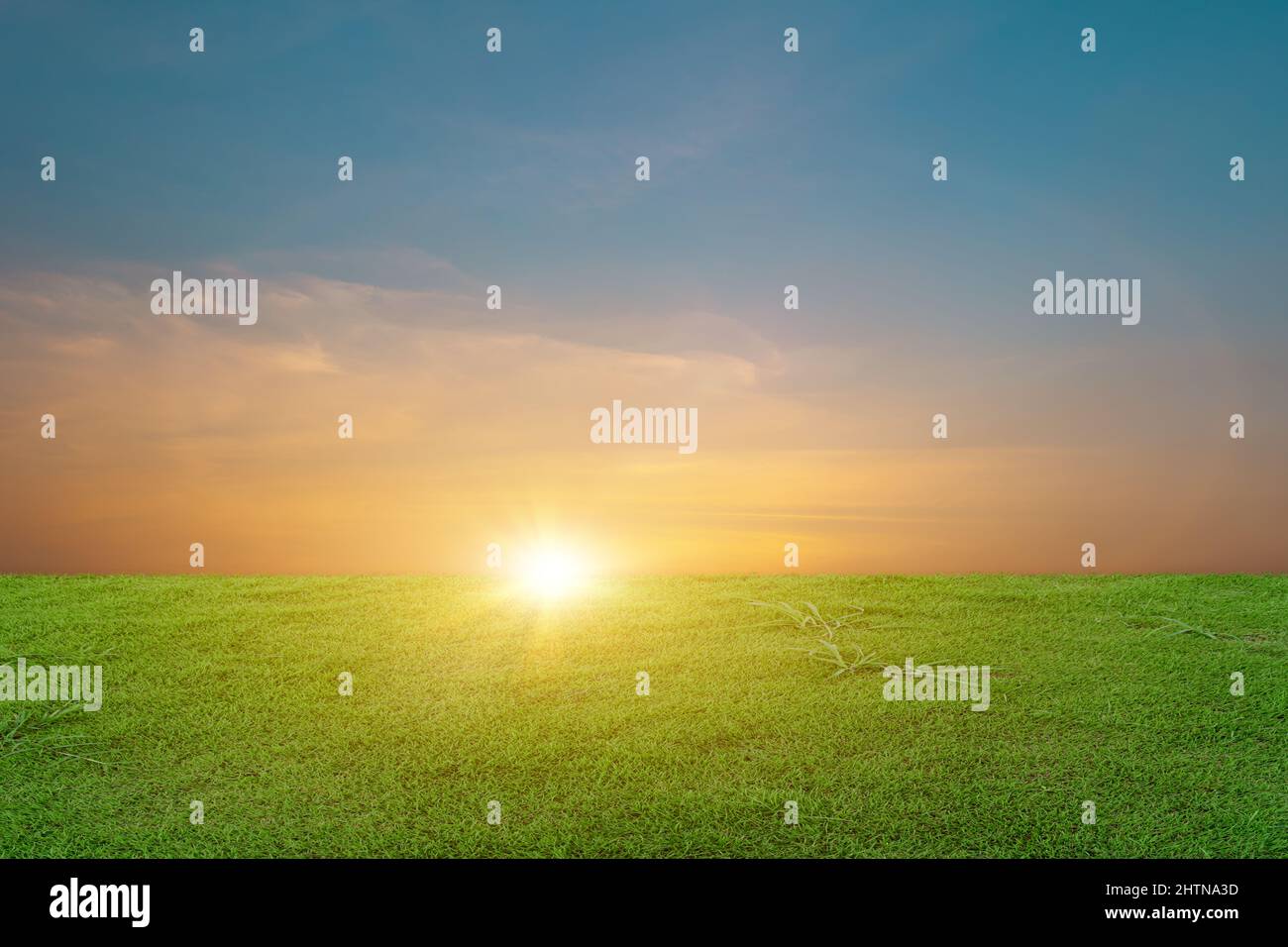 Green grass field at beautiful sunset sky background. rural landscape ...