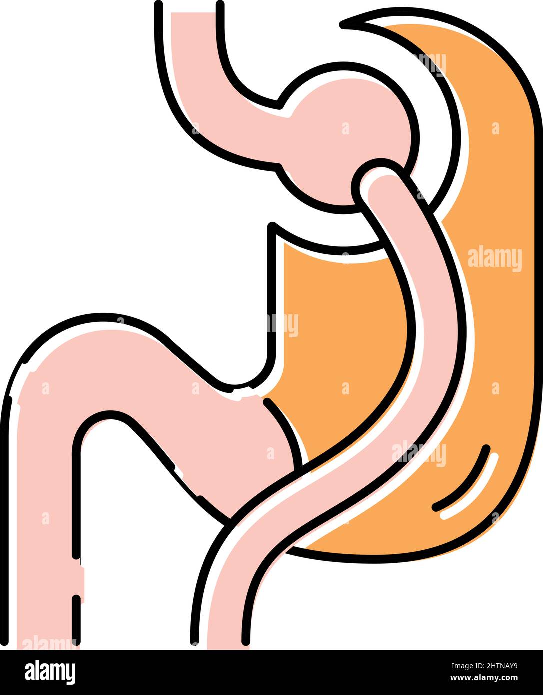 lacing bariatric color icon vector illustration Stock Vector Image ...