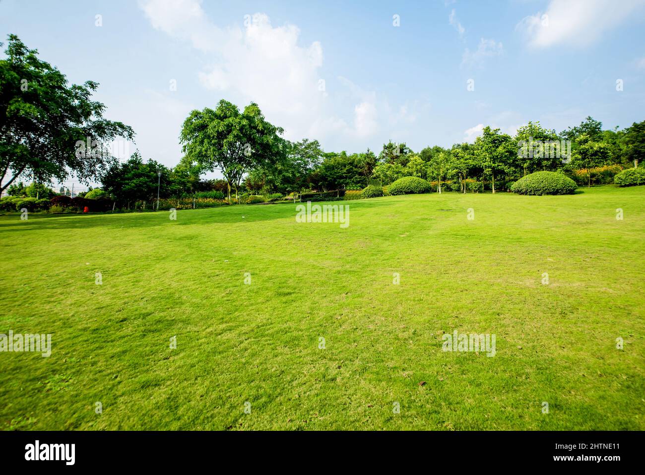 Grassland landscape and greening environment park background Stock ...