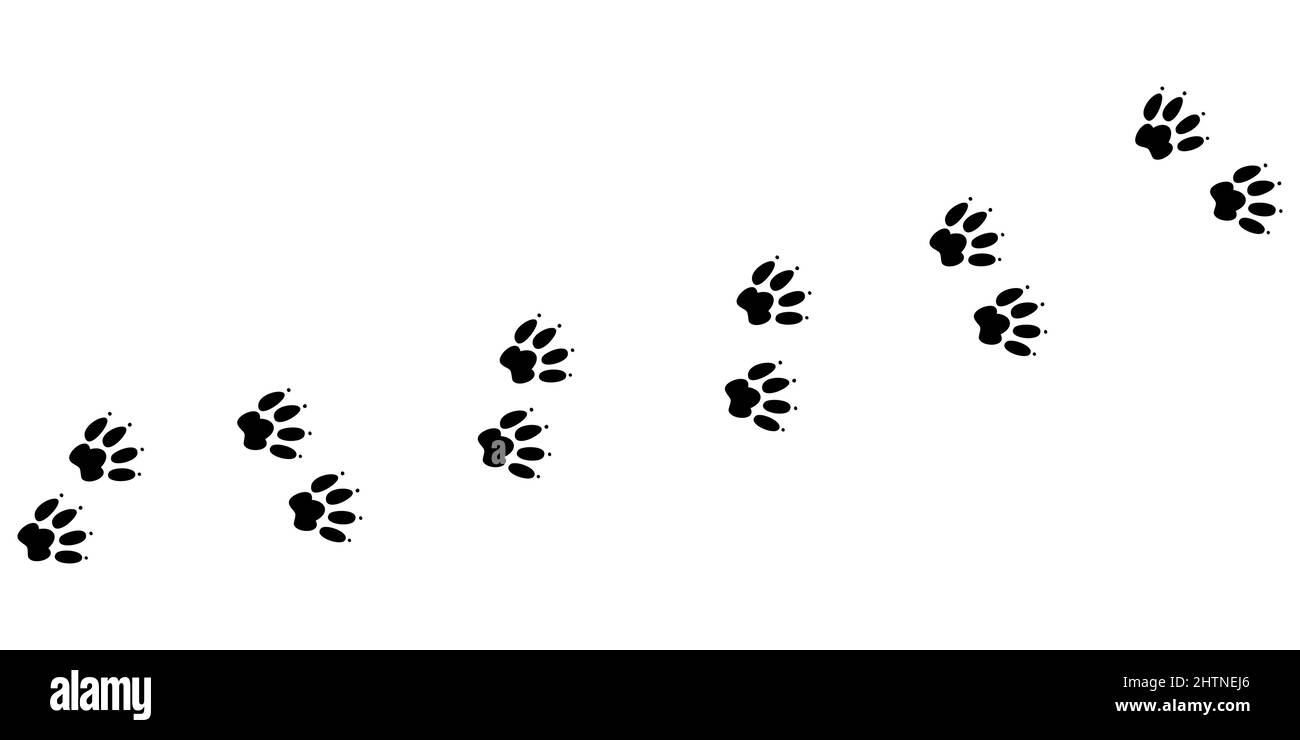 Animal pawprint trail. Sketch footprints of a rabbit, bunny, cat or dog ...