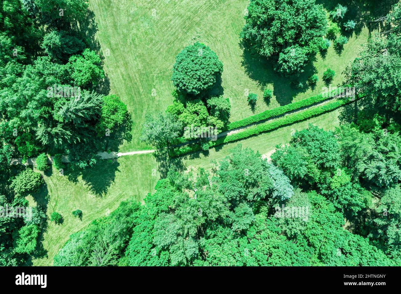 Aerial view of green treetops hi-res stock photography and images - Alamy