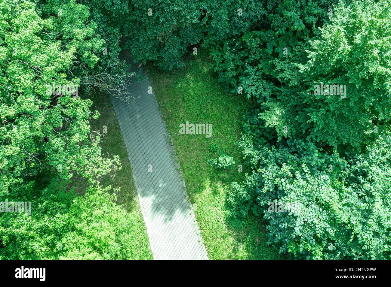 top view of the footpath through the trees in summer park. aerial drone ...