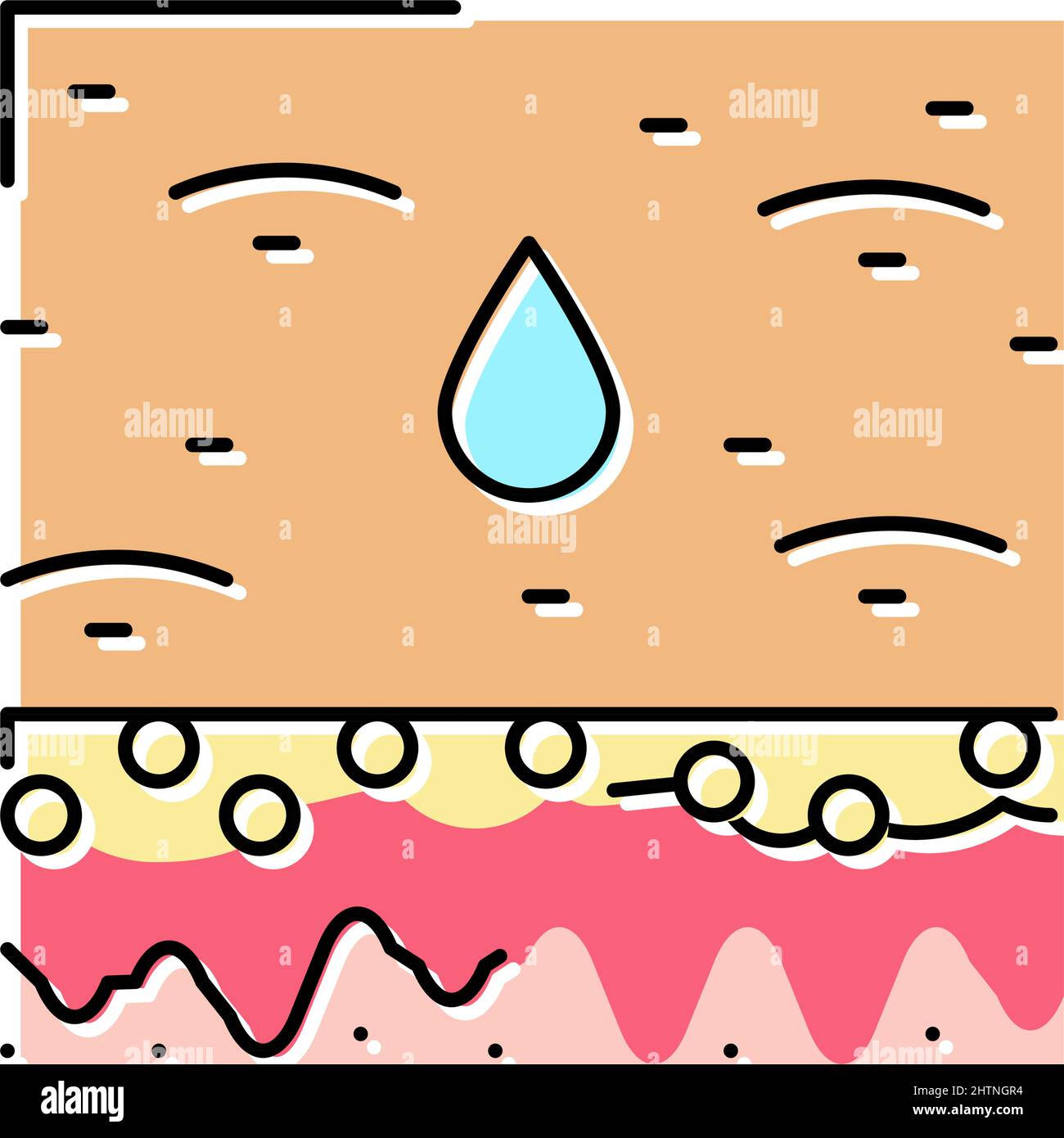 Combination skin icon hi-res stock photography and images - Alamy