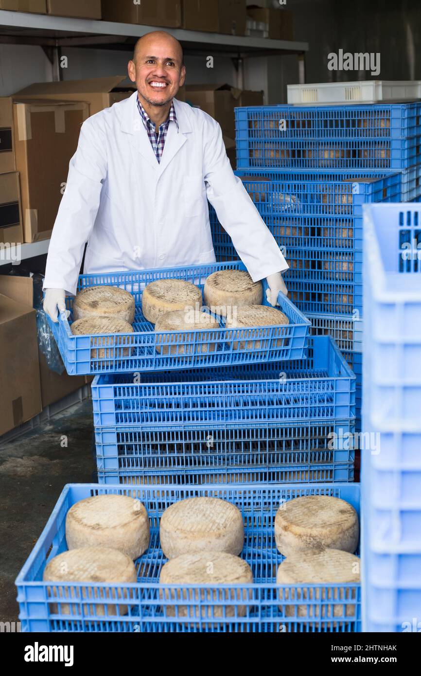 Male worker at cheese factory Stock Photo - Alamy
