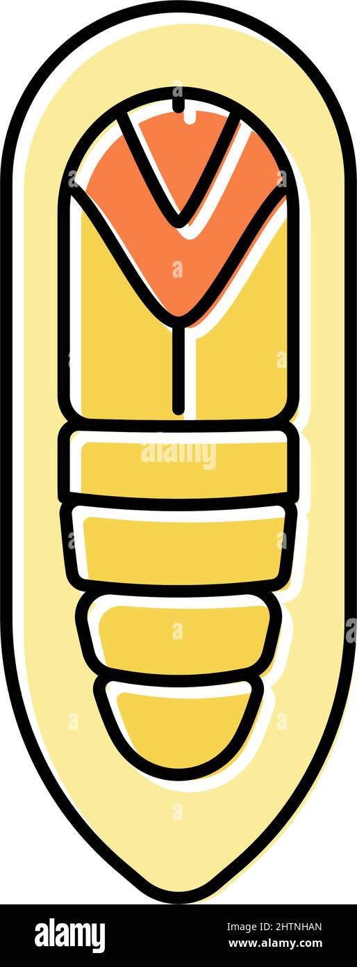 pupa cocoon silkworm color icon vector illustration Stock Vector Image ...