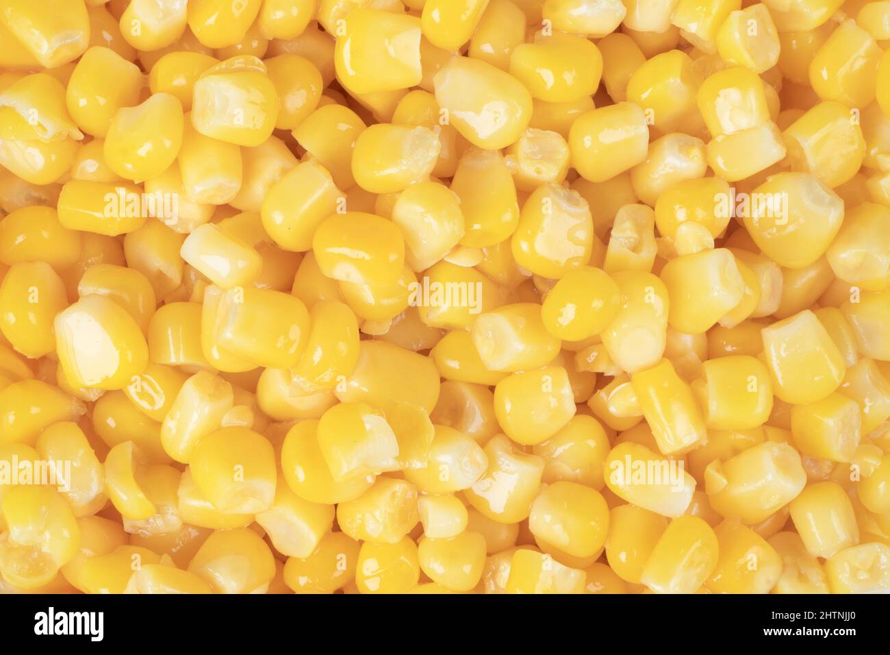 Sweet corn background texture. Pickled corn. Steamed sweet corn seed ...