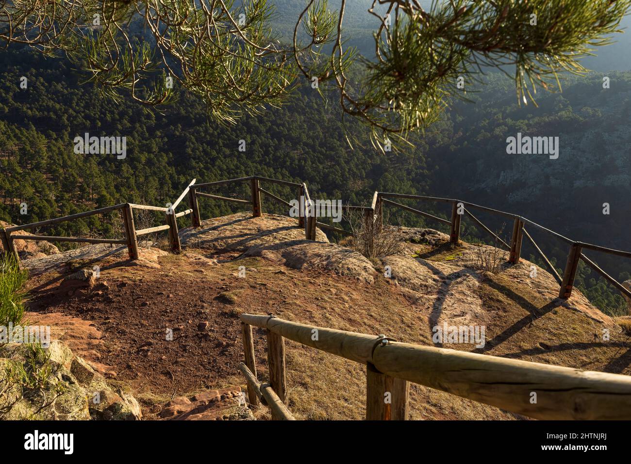Protected Landscape of Ródeno Pine Woods. Albarracín, Teruel province ...