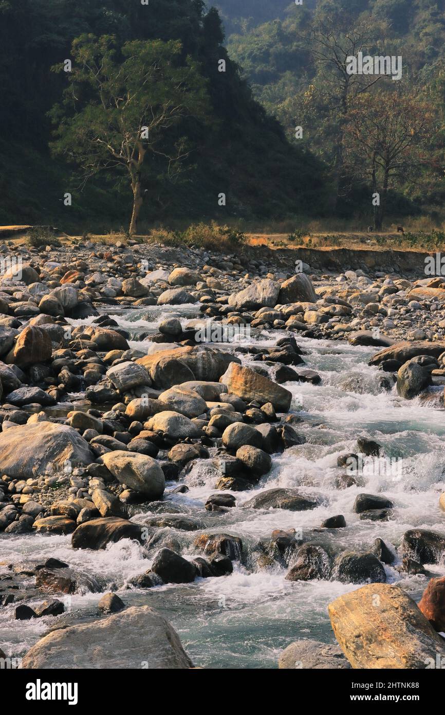 himalayan foothills and scenic landscape of terai region, india Stock ...