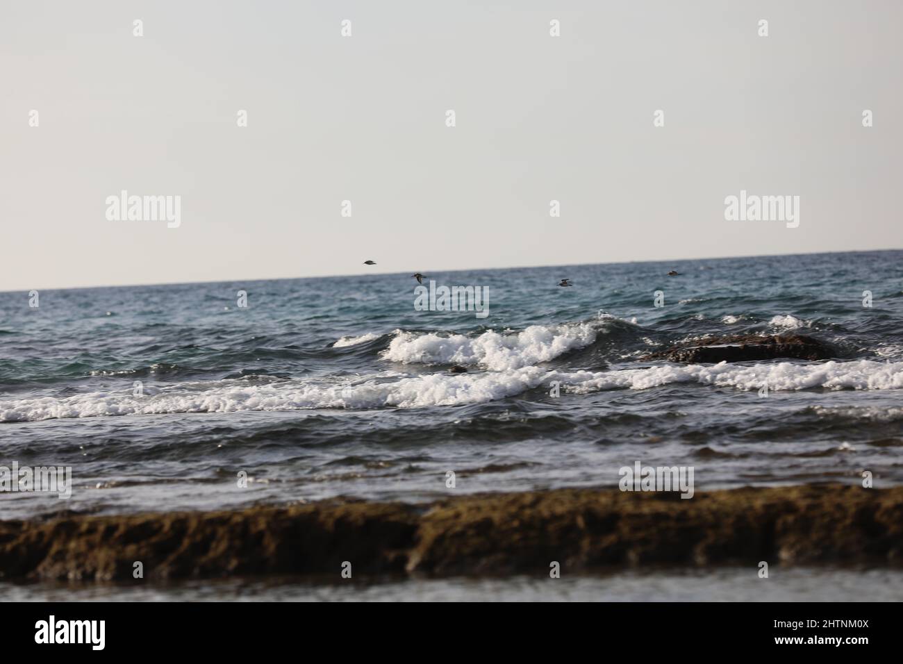 low waves on the shore of a beach High quality Stock Photo - Alamy