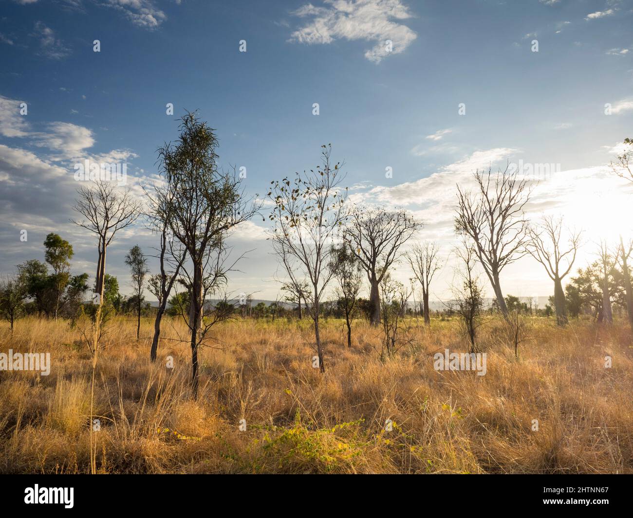 Tropical svannah, Parry Lagoons Nature Reserve, East Kimberley Stock ...