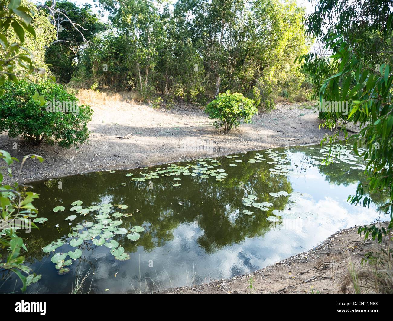 Billabong along Parry Creek, Parry Lagoons, East Kimberley Stock Photo ...