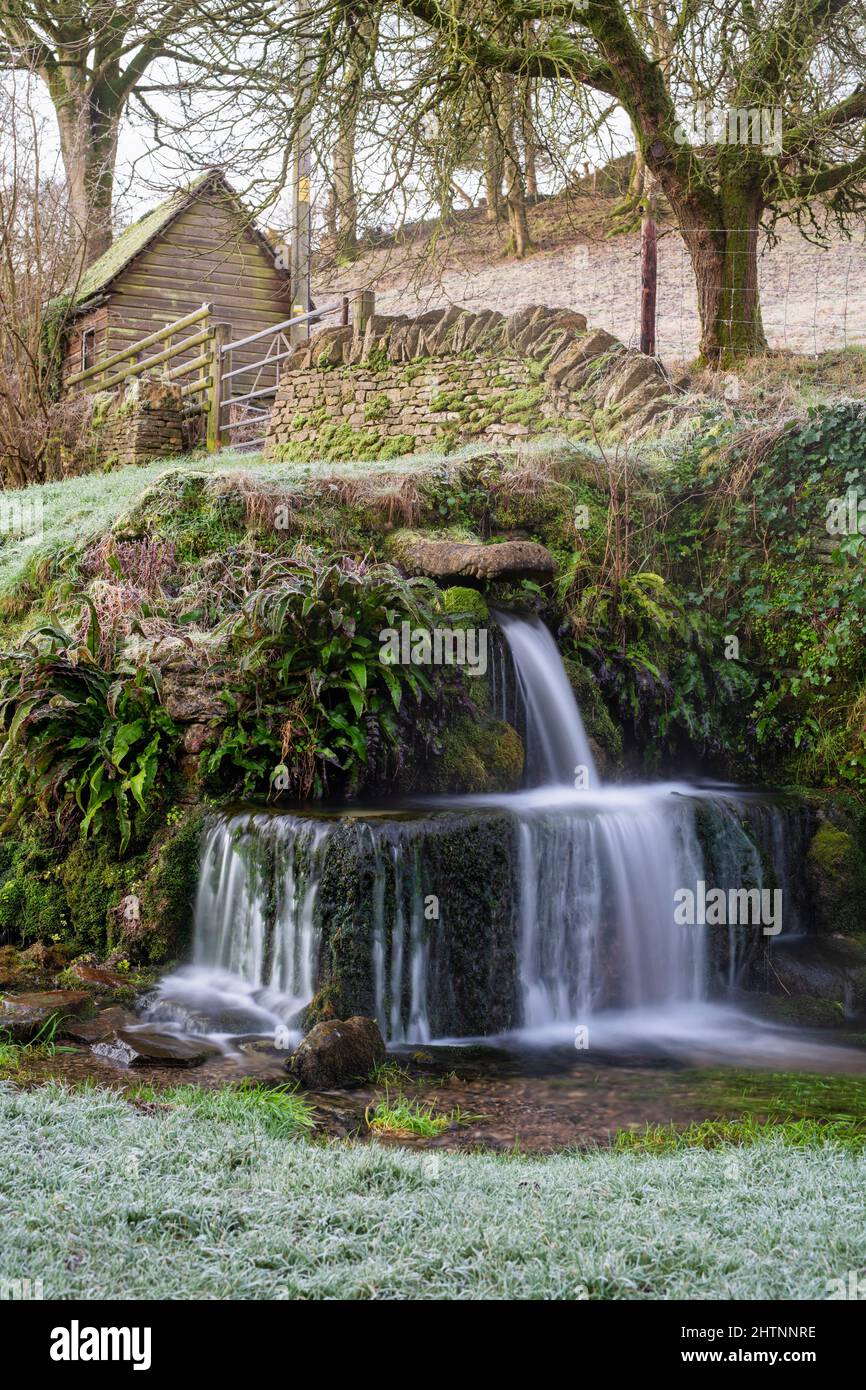 Winter frost on the stone crocodile spring water spout in the cotswold ...
