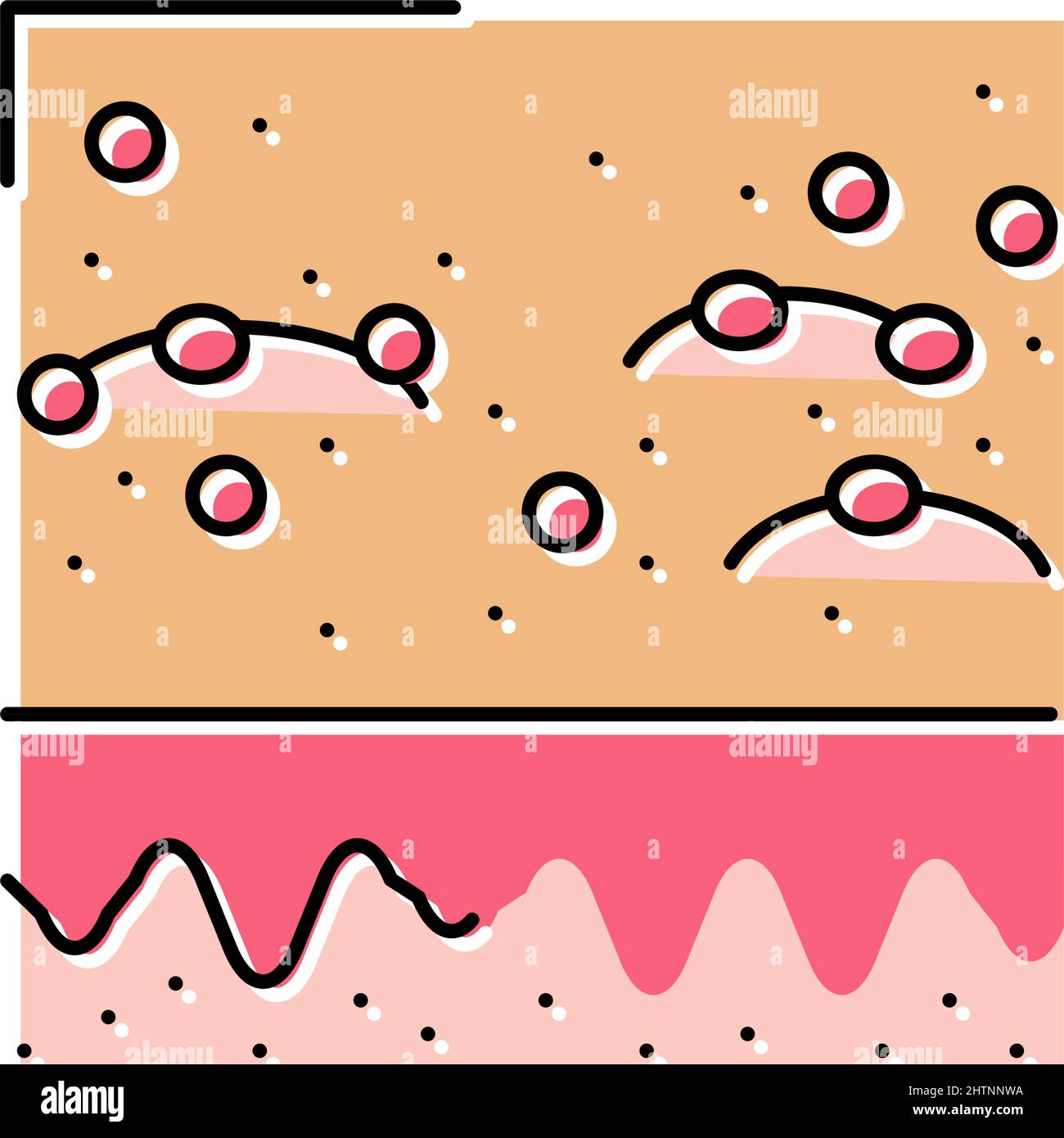 red spots rash skin color icon vector illustration Stock Vector Image ...