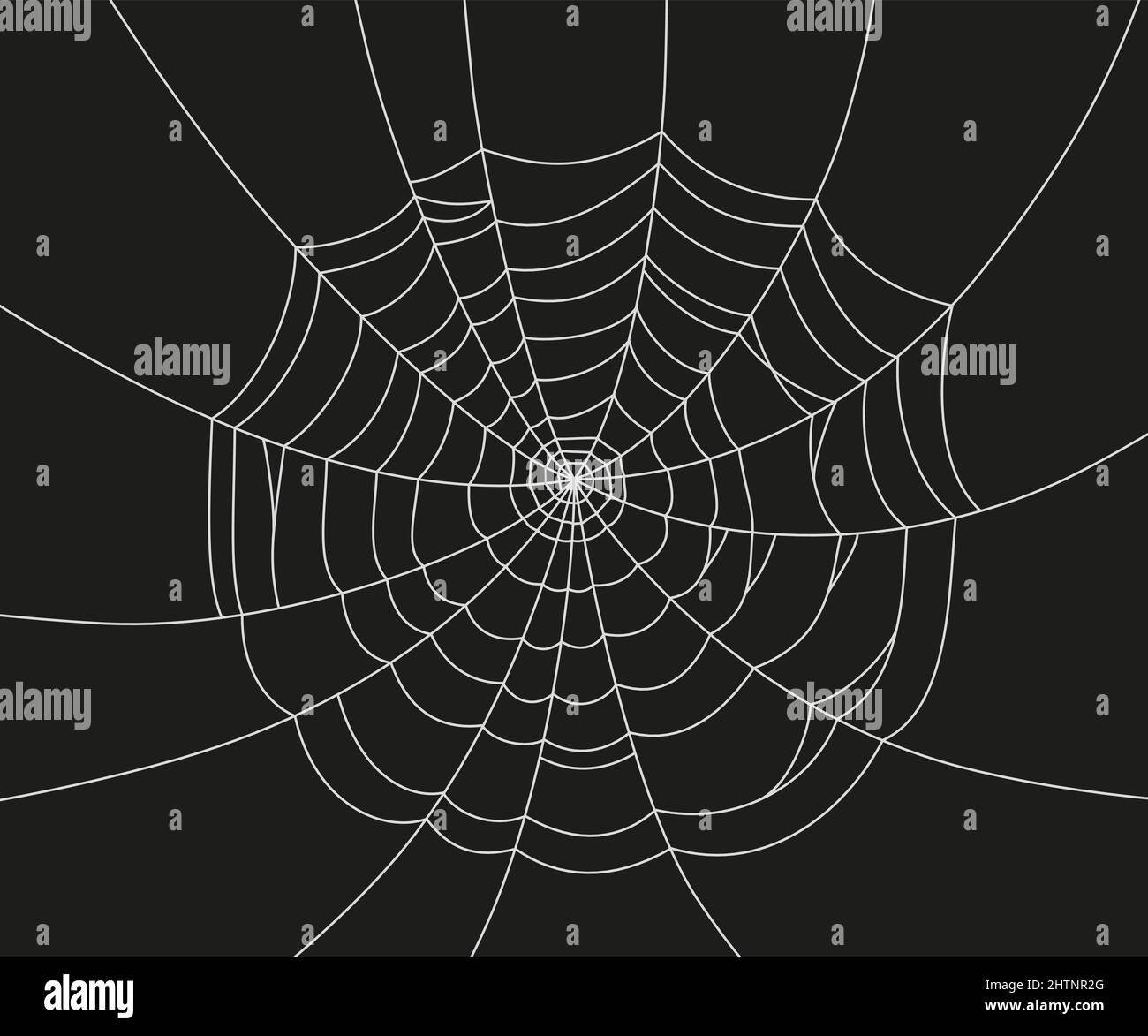Scary spider web. White cobweb silhouette isolated on black background ...