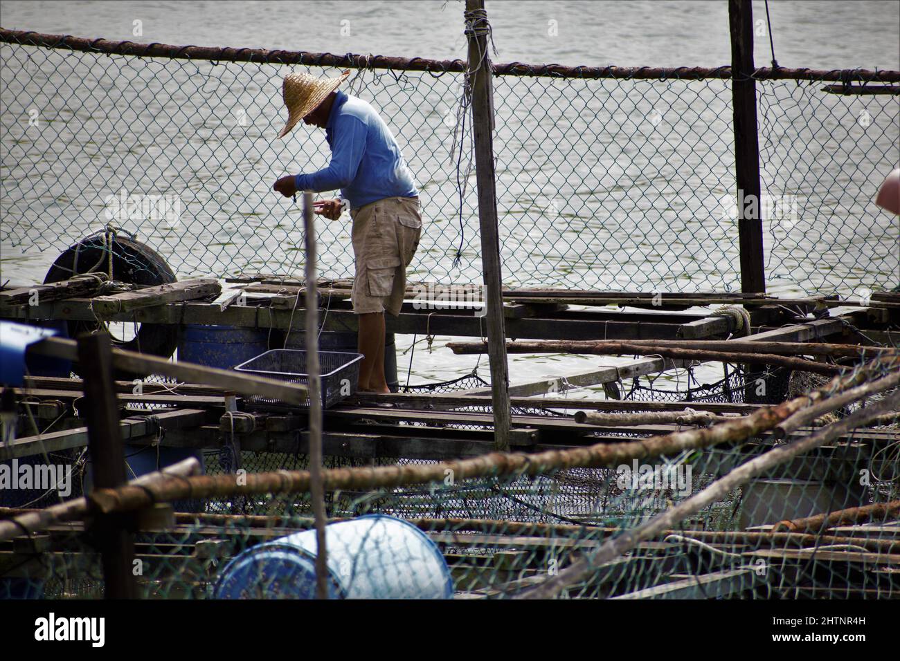 Fish breeder checking on his stock in the fish cage Stock Photo - Alamy