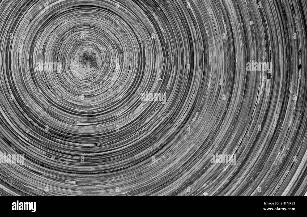 The concentric abstract background with wood texture close up Stock ...